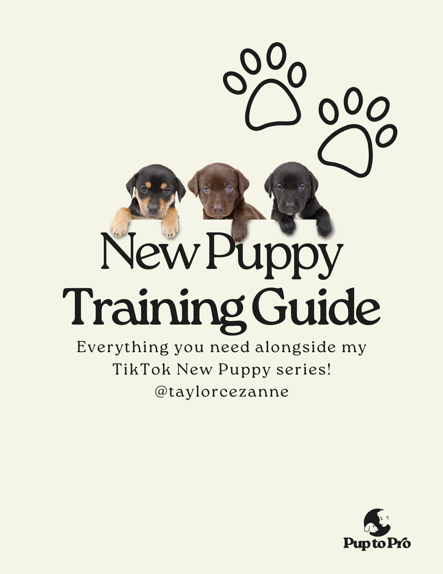 New Puppy Training Guide – PuptoPro